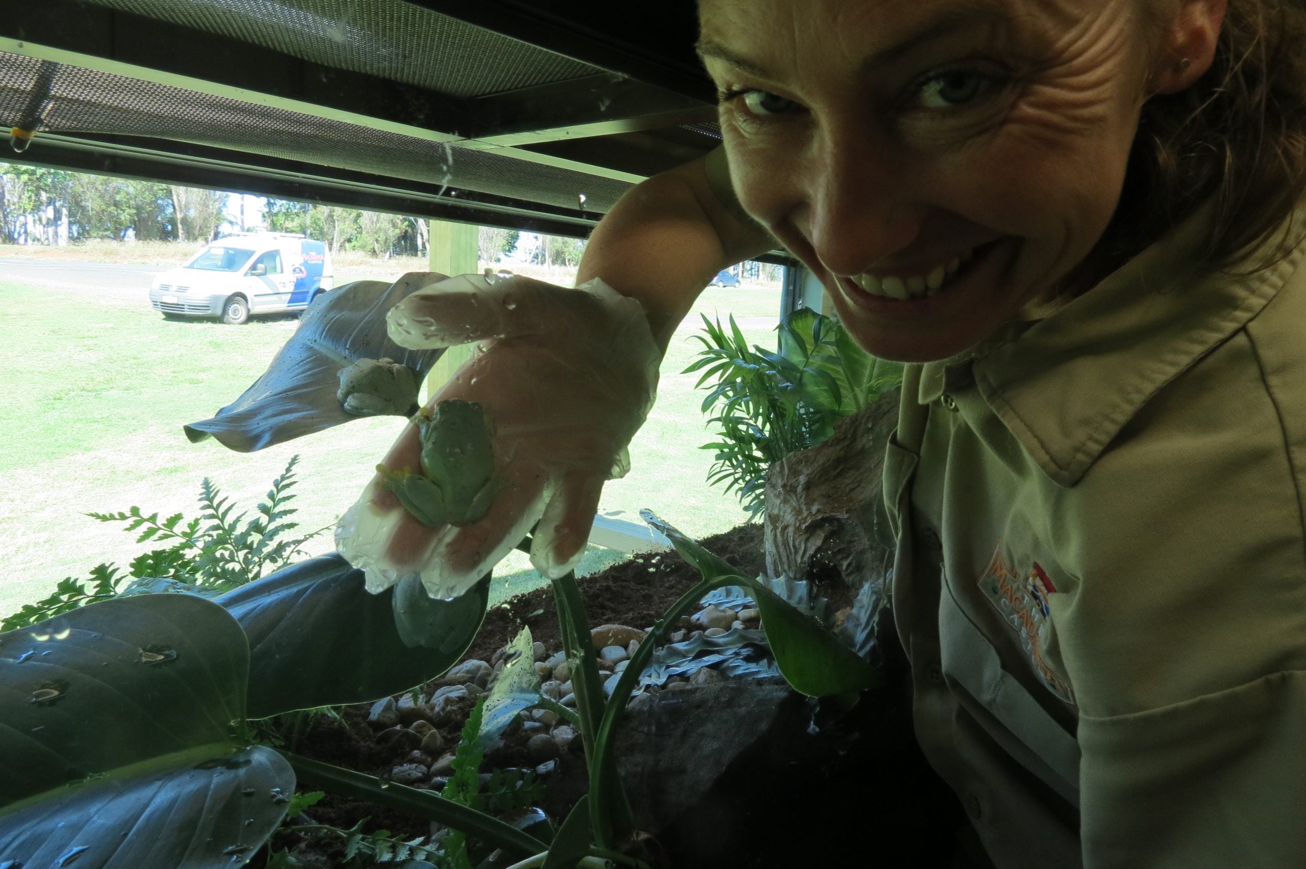 Frog Pod to help save threatened species – The Echo