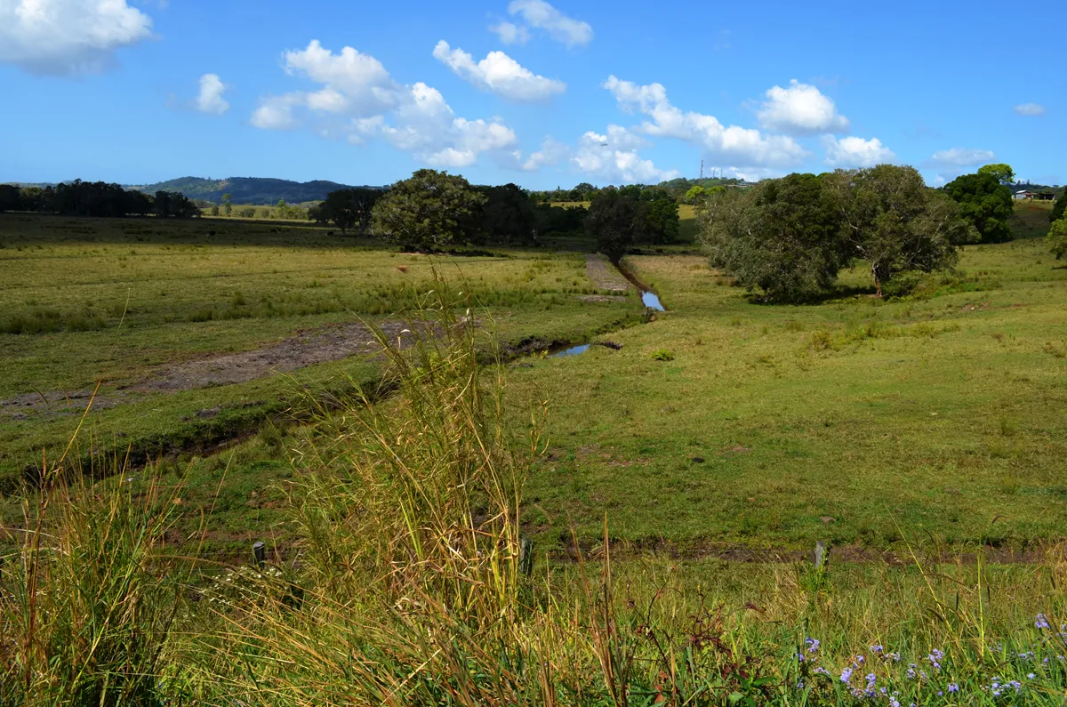 Backswamps and development blues – The Echo