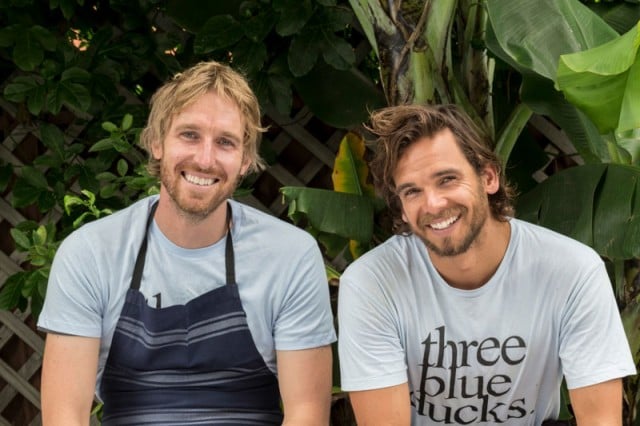 Ducks in a row – The Echo