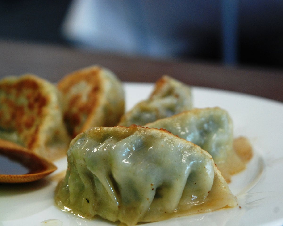 Chinese gyoza handmade in Ballina – The Echo