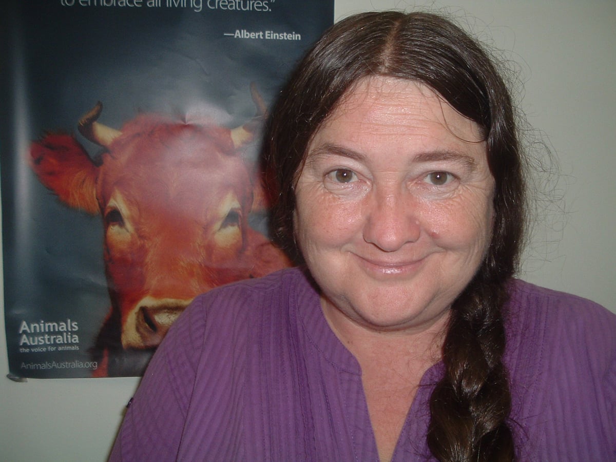 Angela Pollard, Ballina candidate for the Animal Justice Party – The Echo
