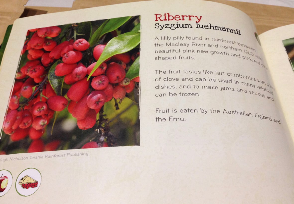 What now in native foods? – The Echo