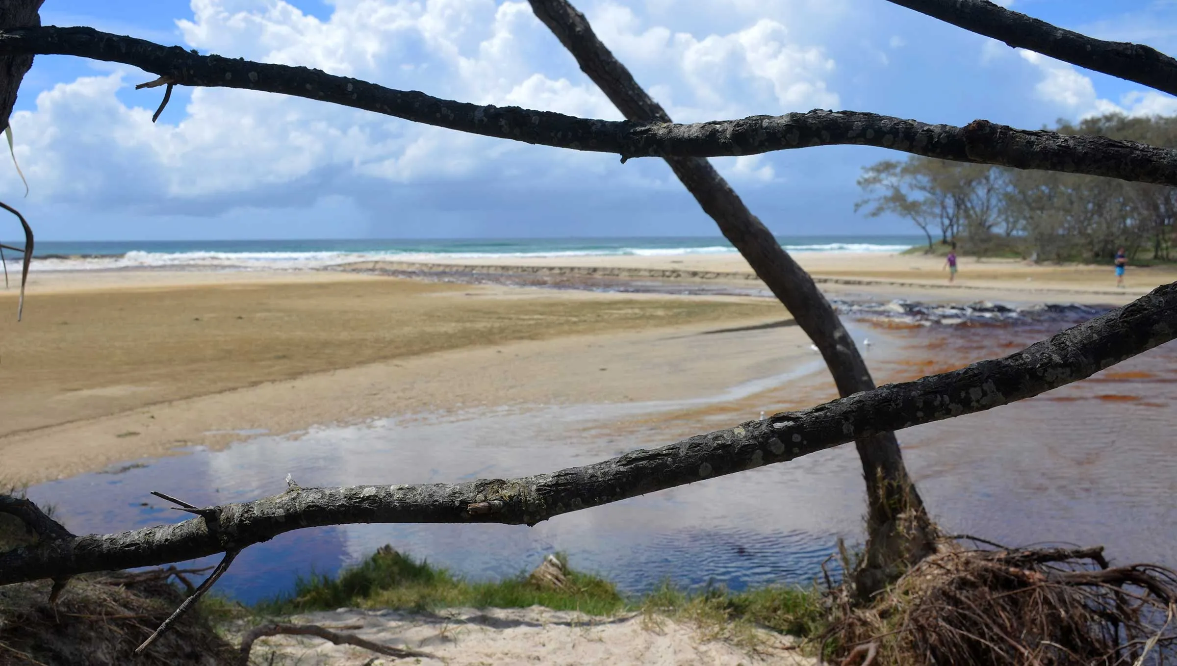 What is in a true name? – The Echo