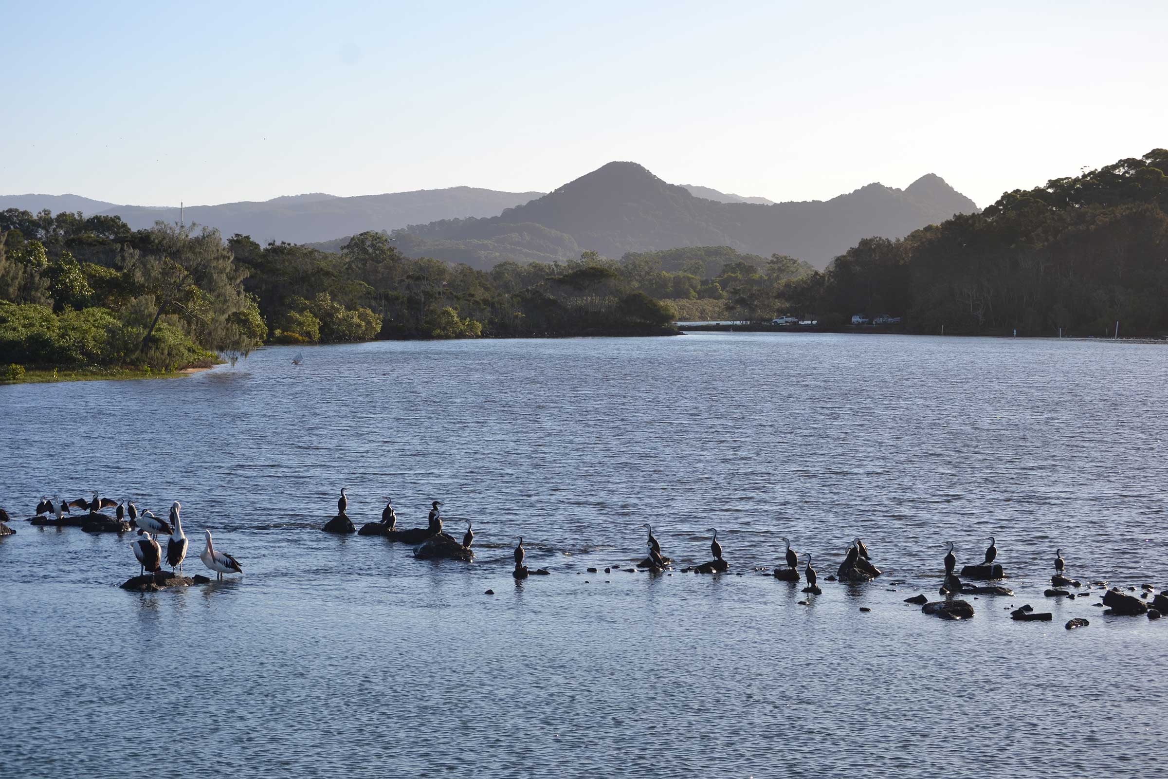 Respect the River on the holidays – The Echo