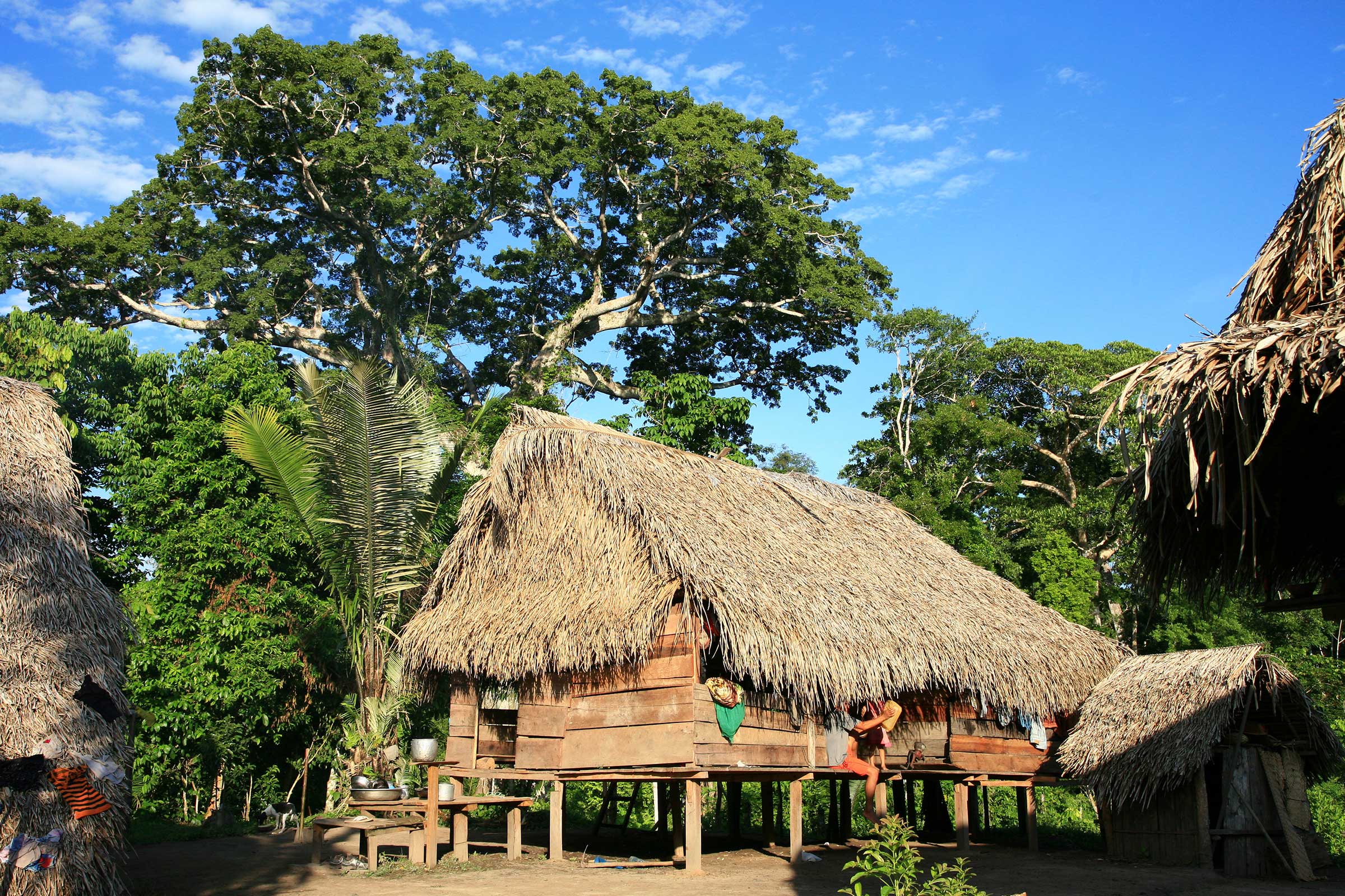 Huni-Kuin-4 – The Echo