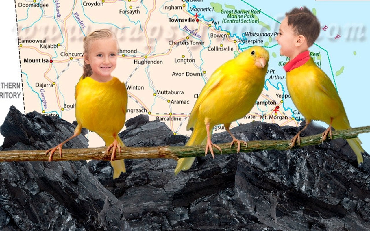 Coal_Mine_Birds – The Echo