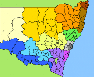 How are NSW councils doing? – The Echo