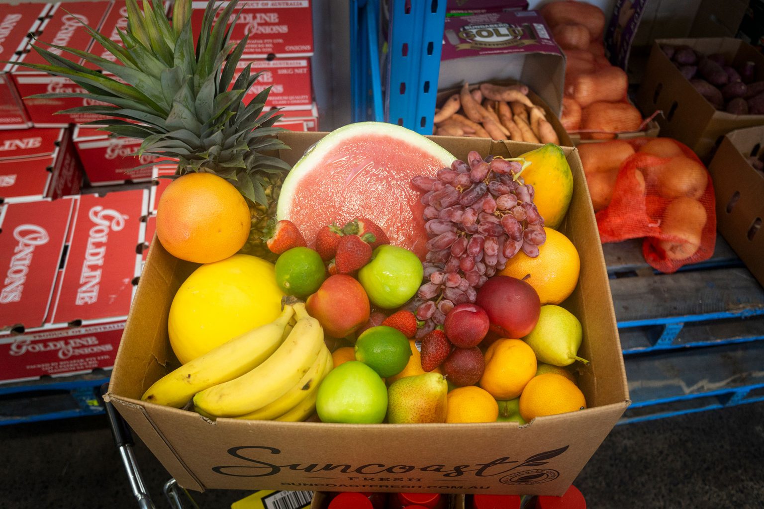 Bayleaf and Suncoast delivering the noms – The Echo