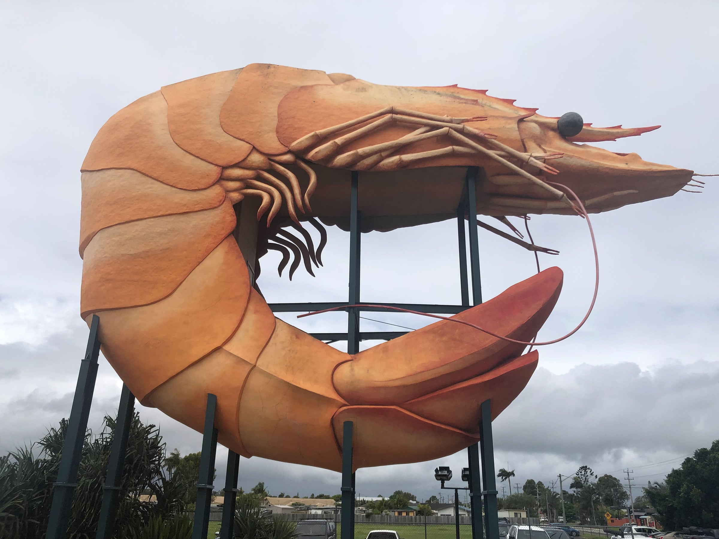Ballina-Big-Prawn-2 – The Echo