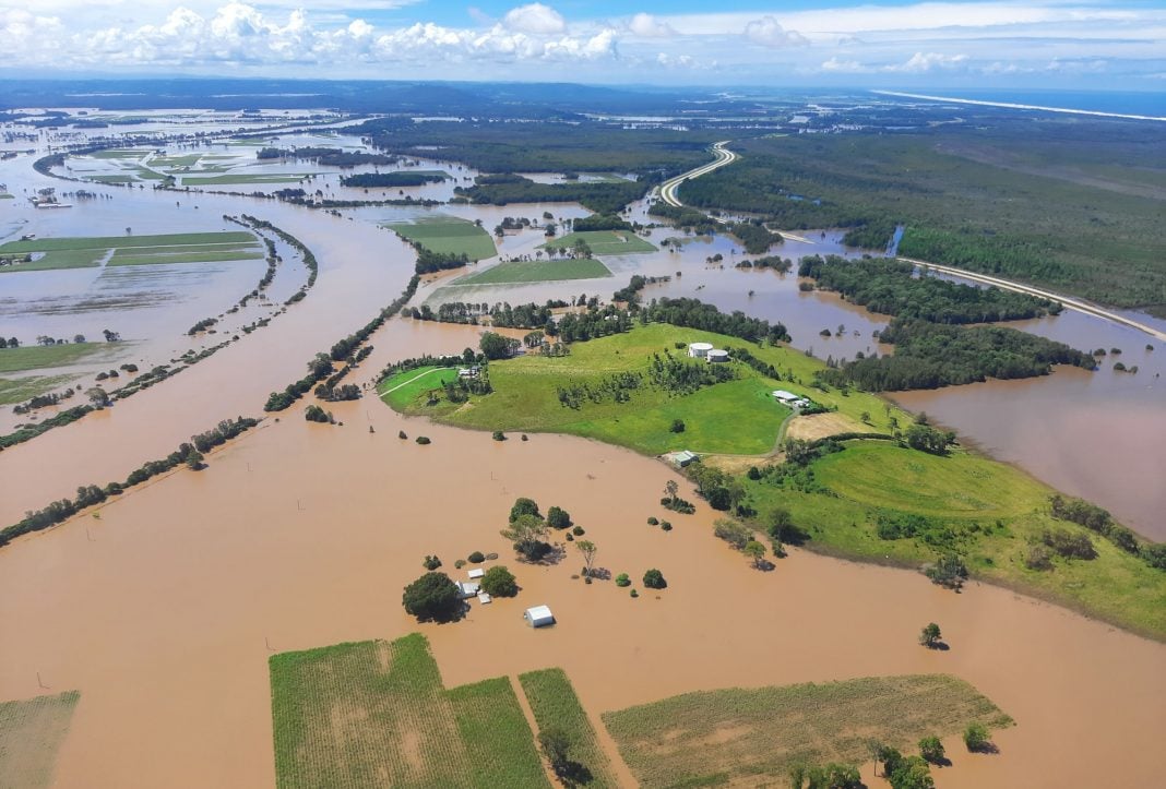 Riparian restoration works sees improvements over four catchments – The ...