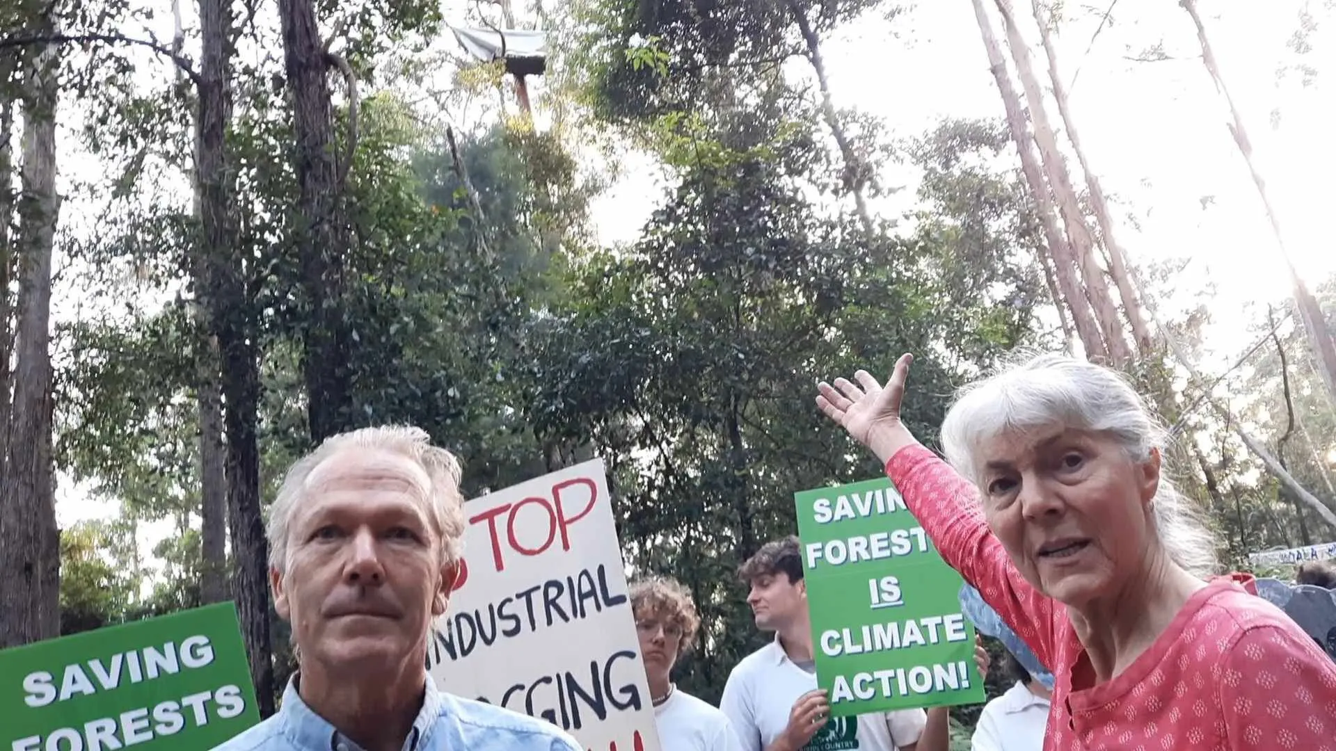 Bulga Forest action spreads to Lorne State Forest – is it time to stop ...