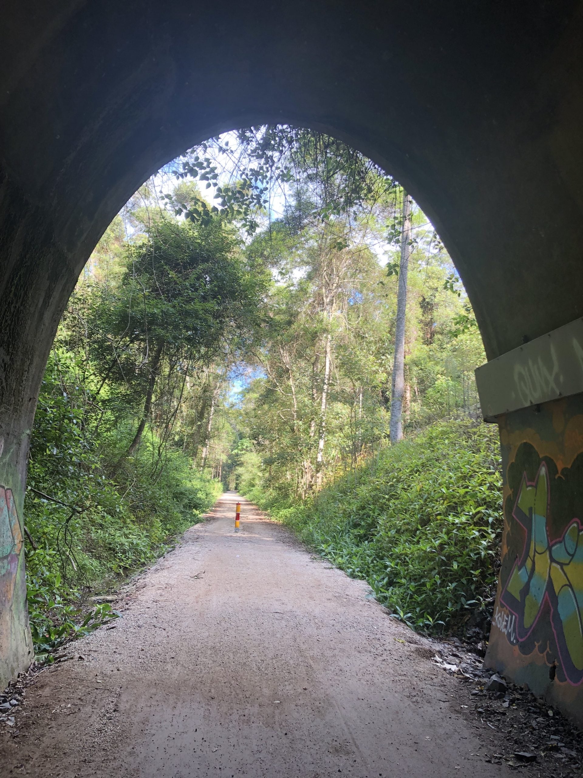 Burringbar tunnel Tweed Rail Trail – The Echo