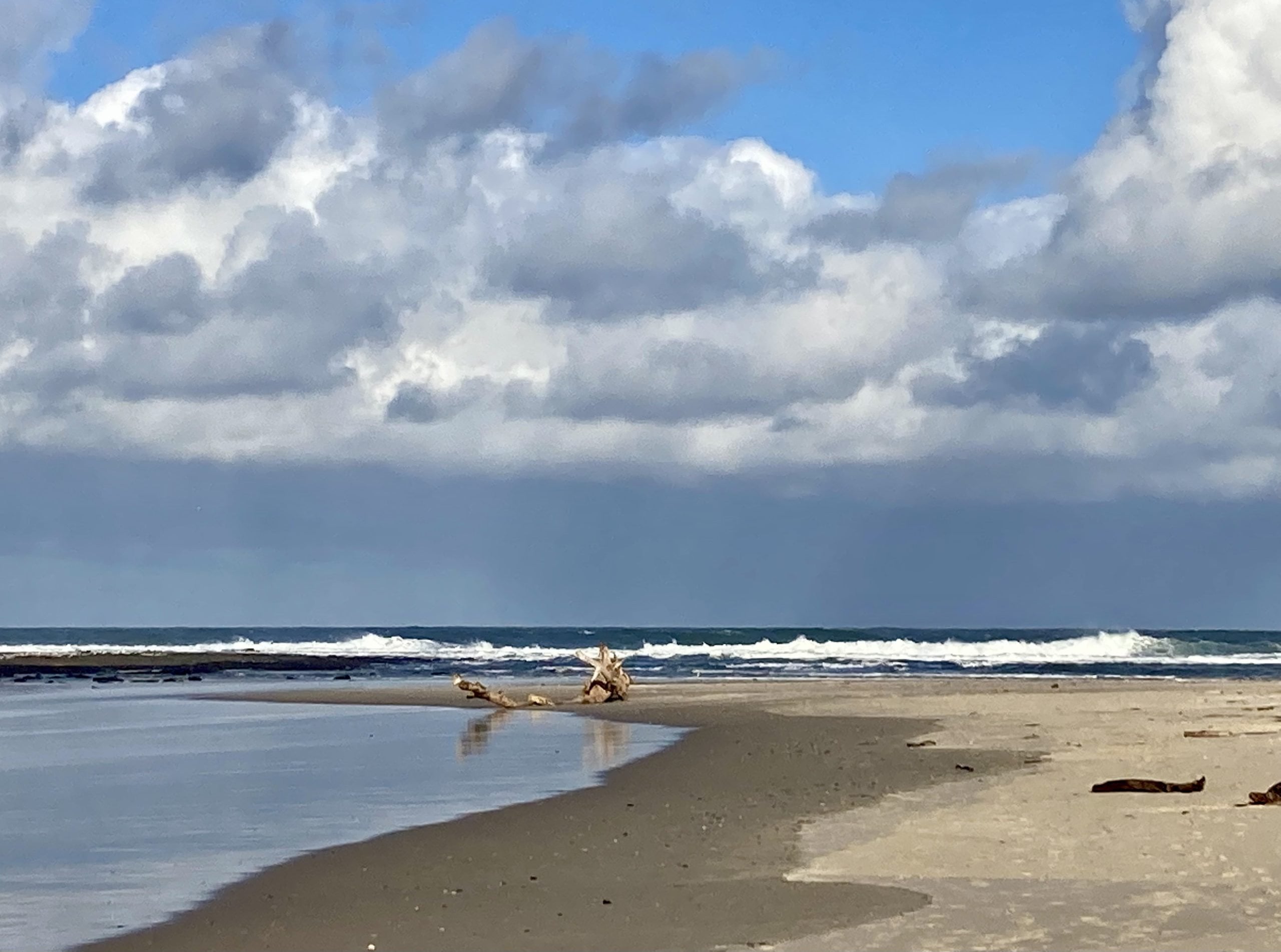 Angels Beach – The Echo