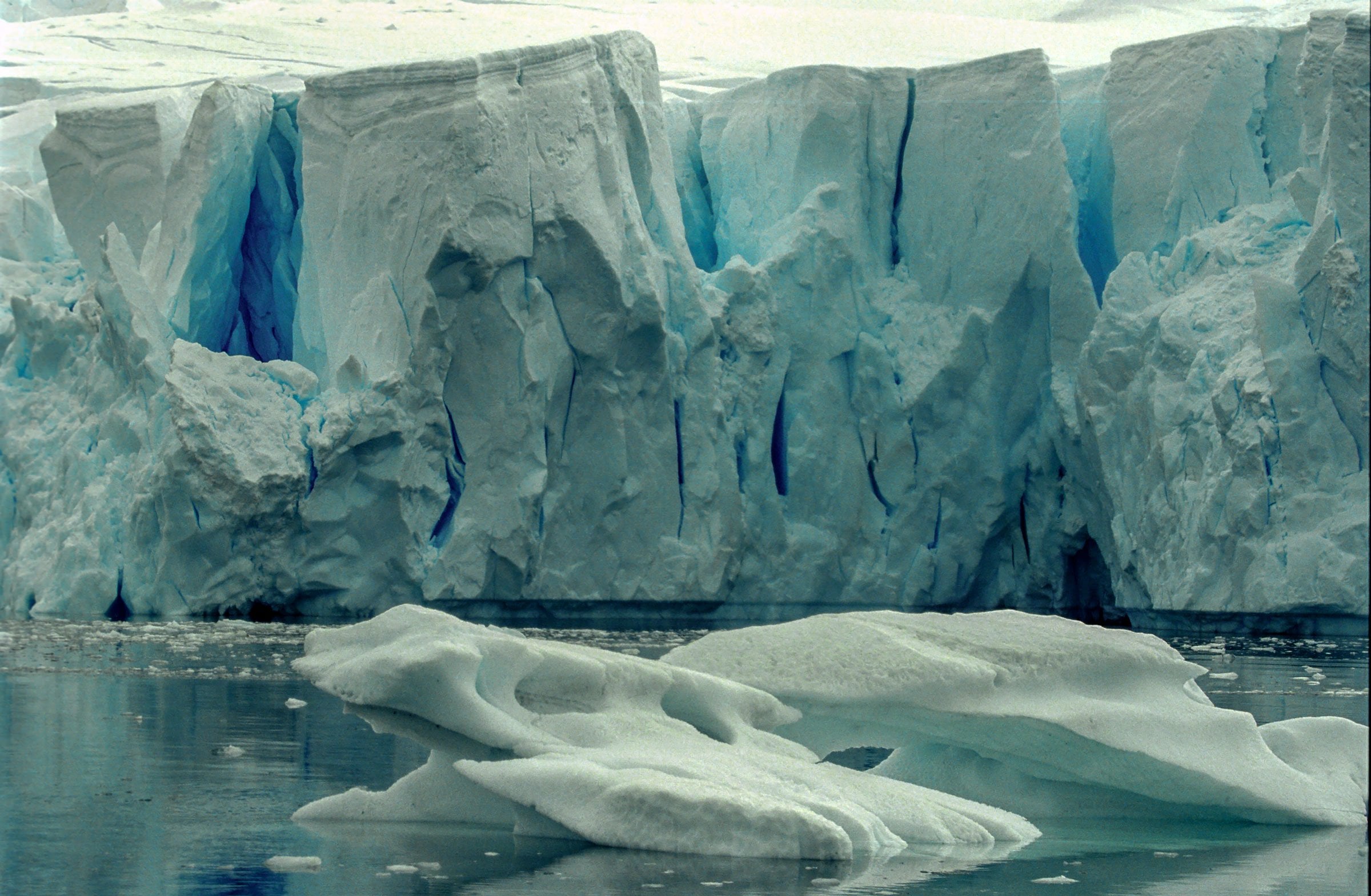 Glacier-in-Neko-Harbour,-Antarctica – The Echo