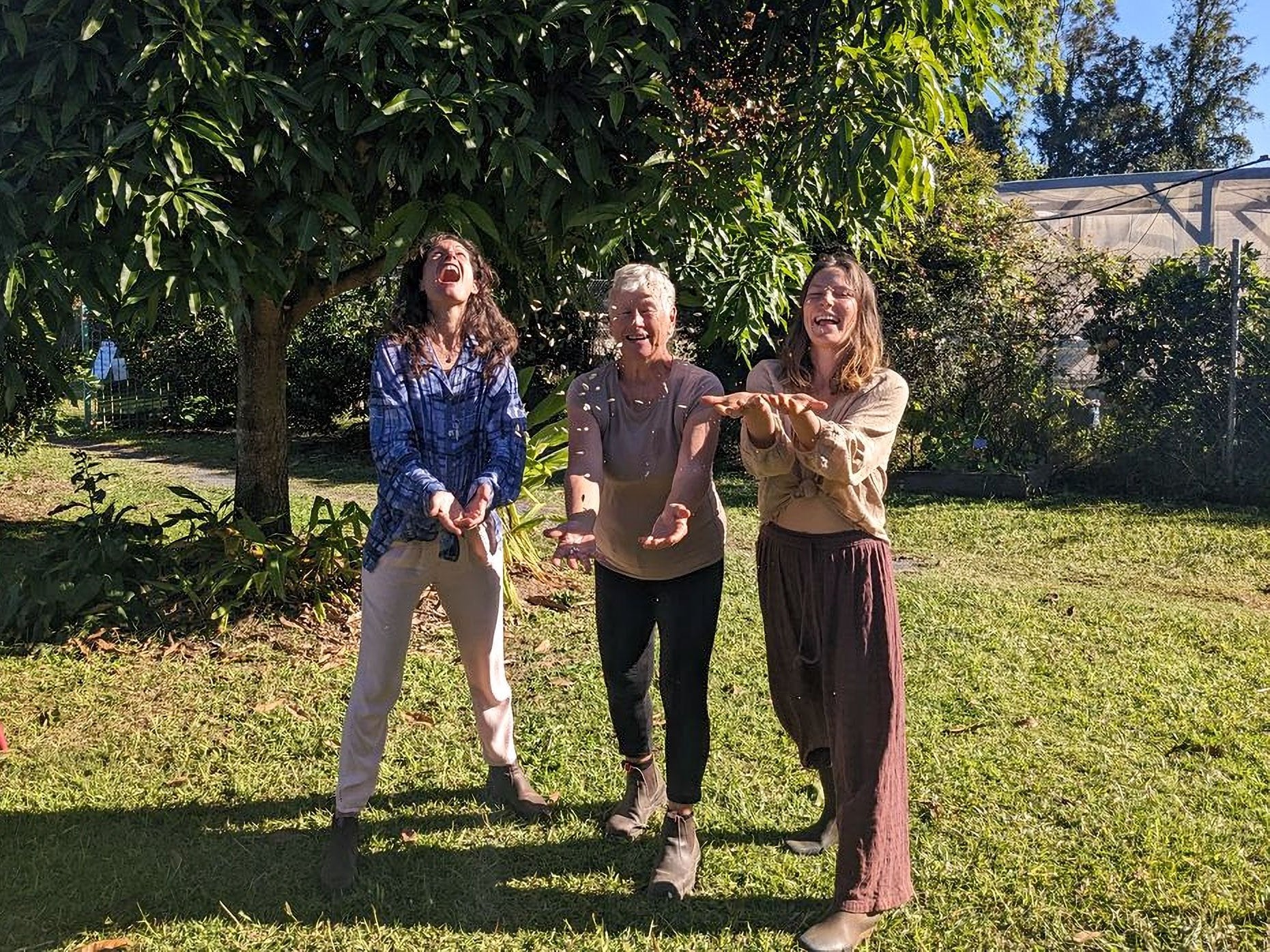 Swapping and saving seeds this Friday in Mullum – The Echo