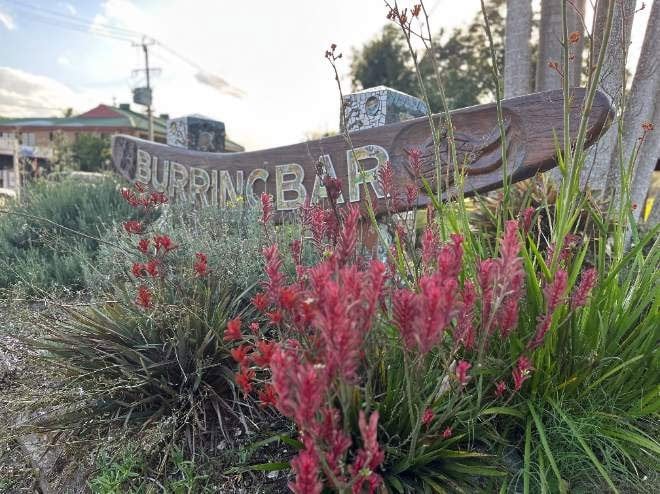 What is the future of Burringbar? – The Echo