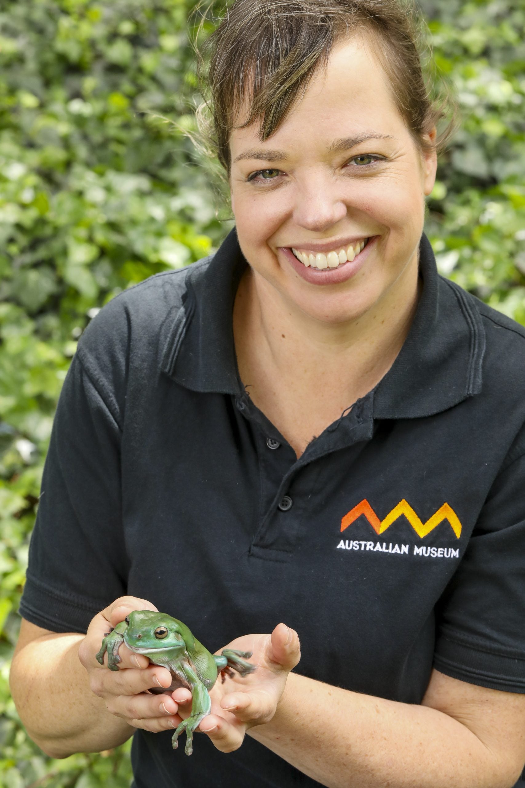 Countdown to one million frogs! – The Echo