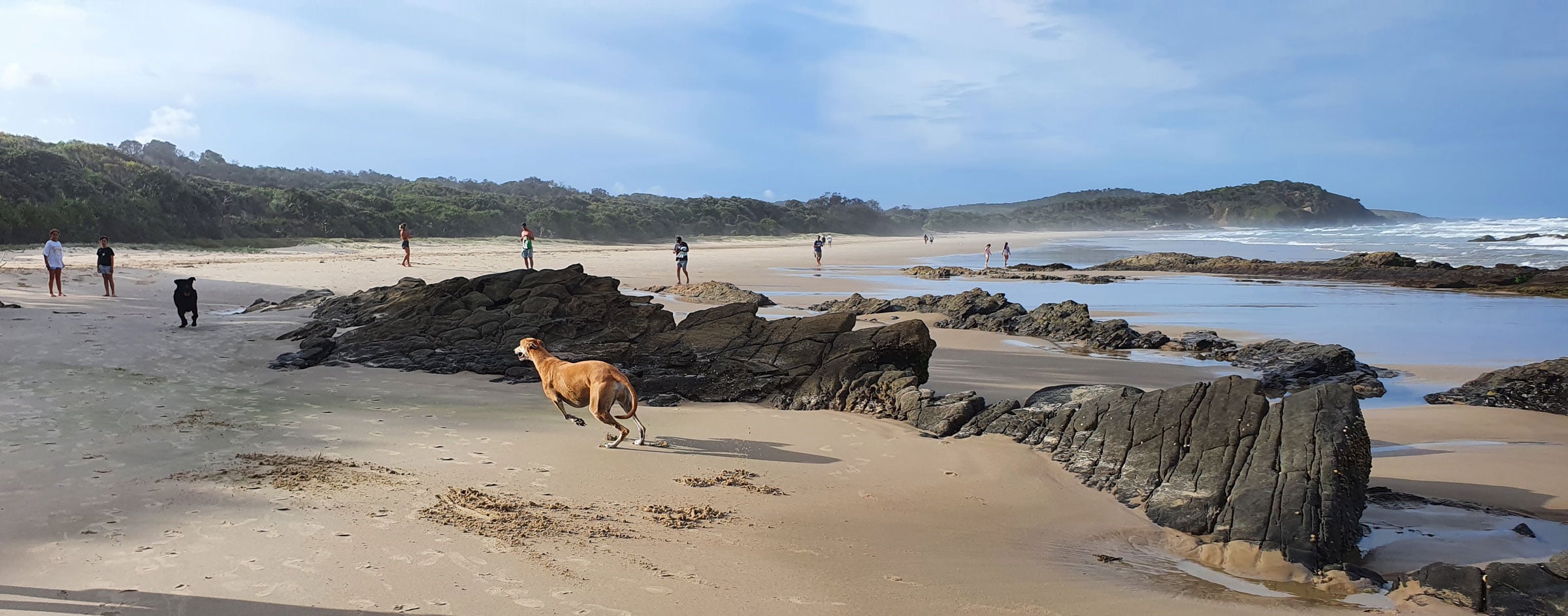 Dirawong Reserve – dogs, graffiti, toilets and fires – how is it being ...