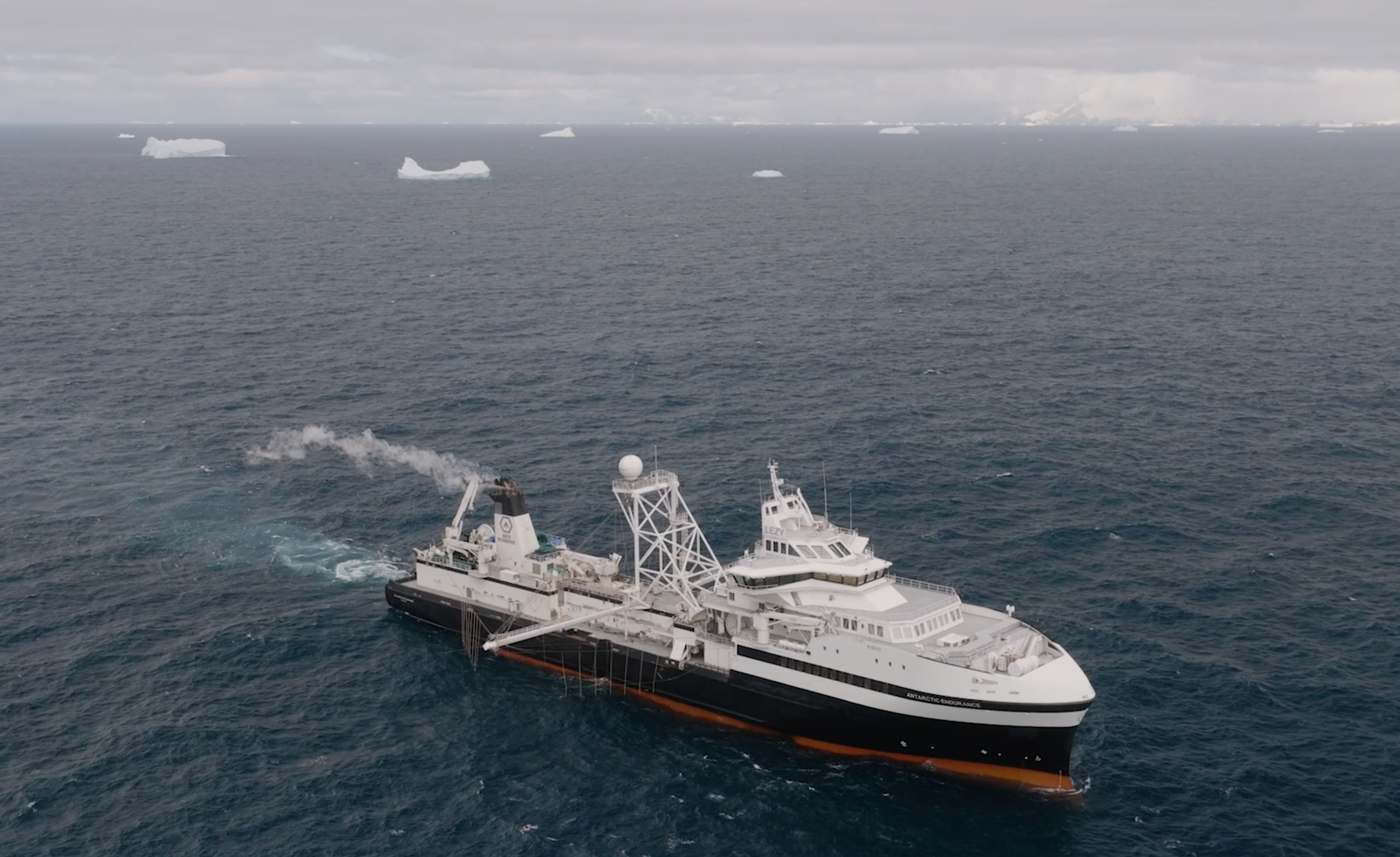 Krill supertrawlers found trawling through whale pods in Antarctic ...