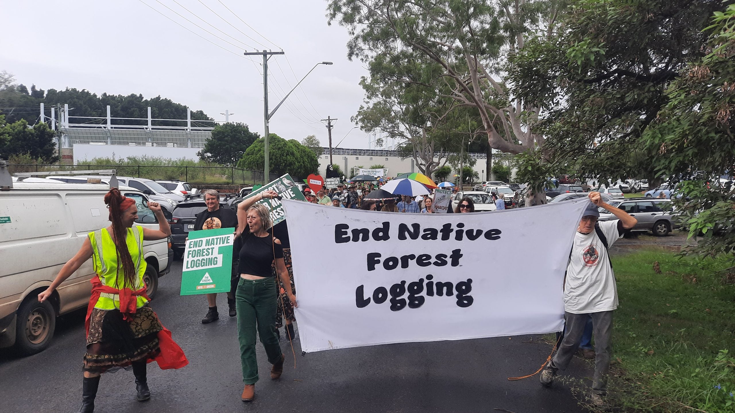 Lismore Labor MP called out over native forest logging – The Echo