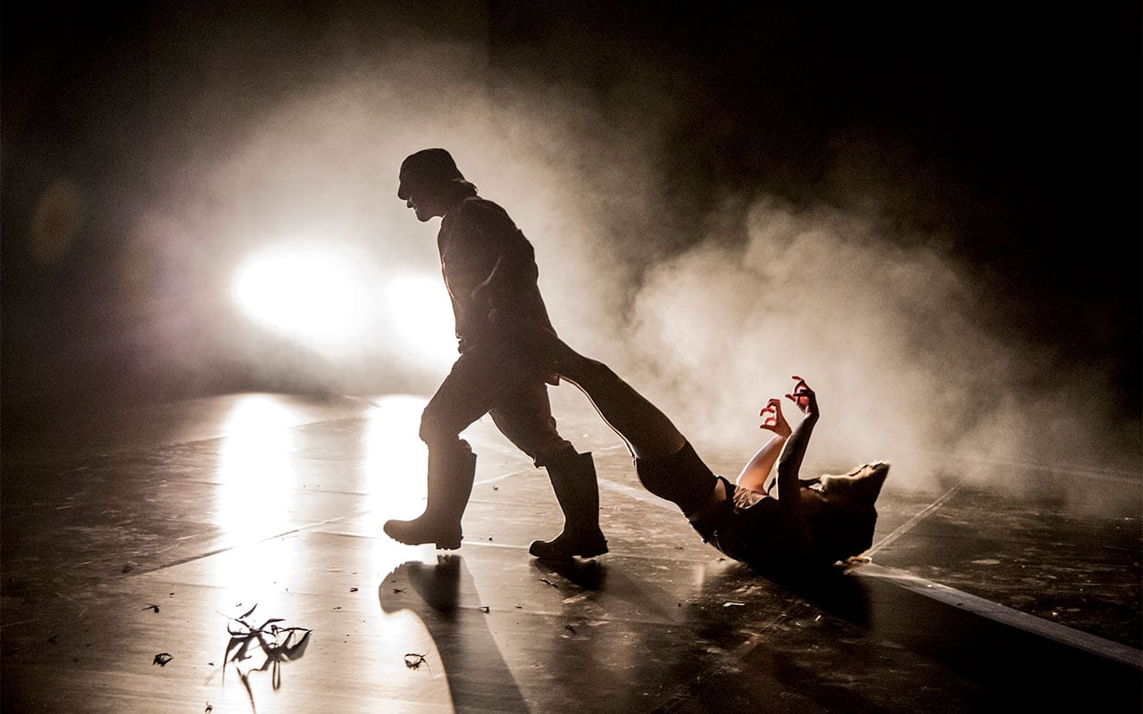 NORPA’s wild ride at Lismore Showgrounds – The Echo