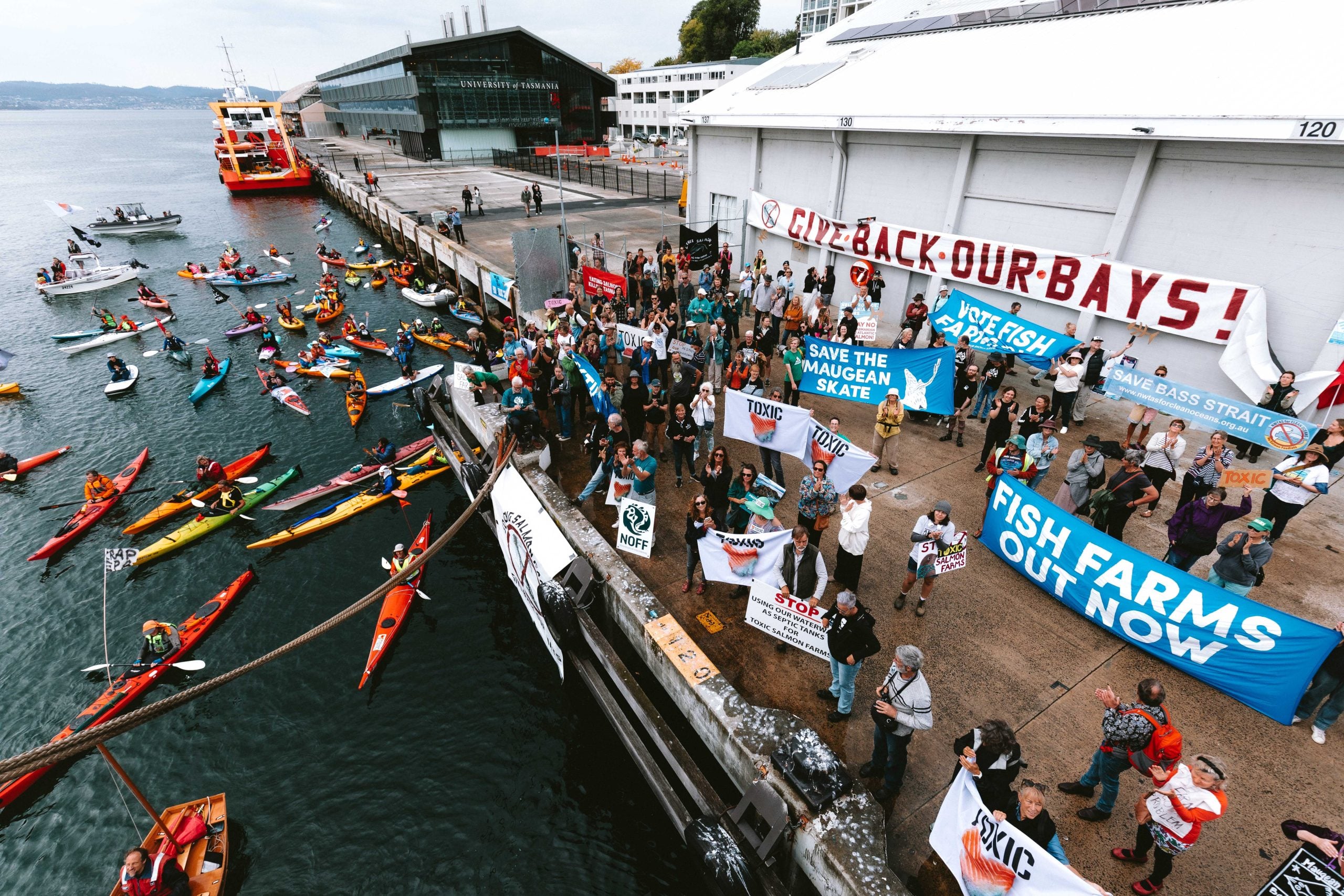 Tas government finally releases shocking State of the Environment ...