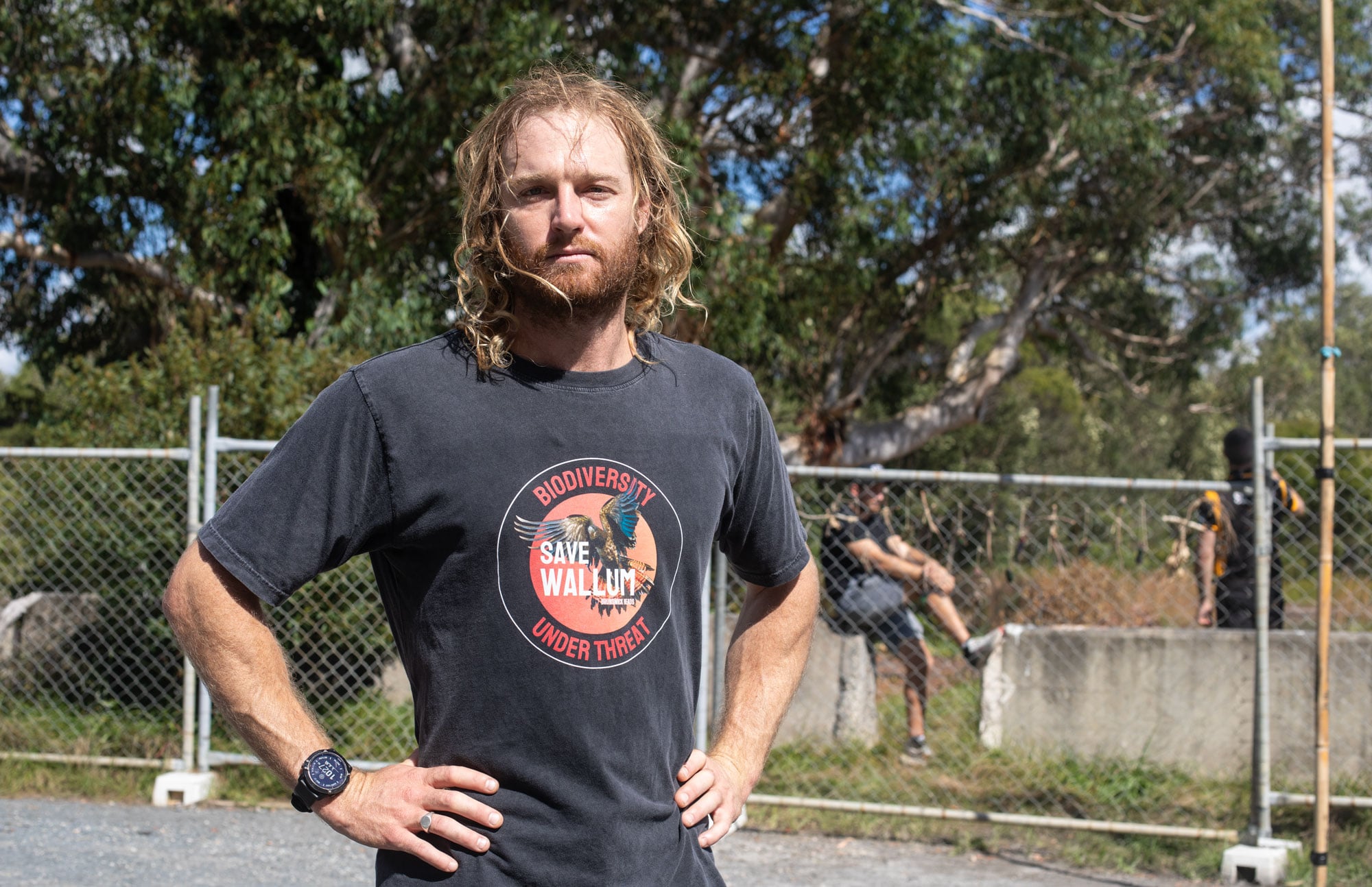 Musicians and MLC support the save Wallum fight – The Echo