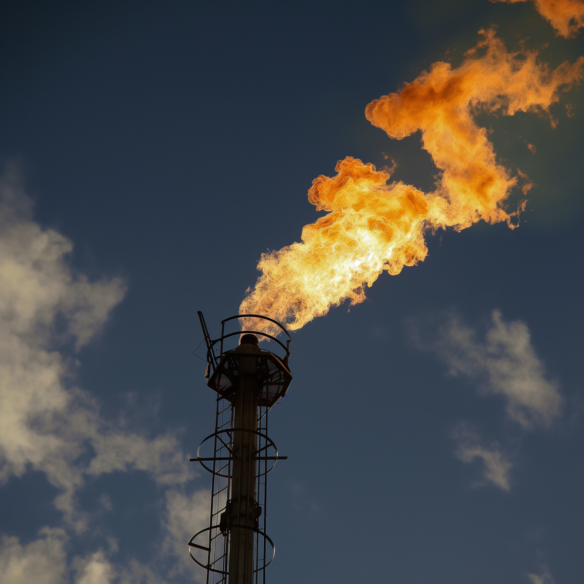 Greenpeace blasts Coalition's 'rubbery gas numbers' – The Echo