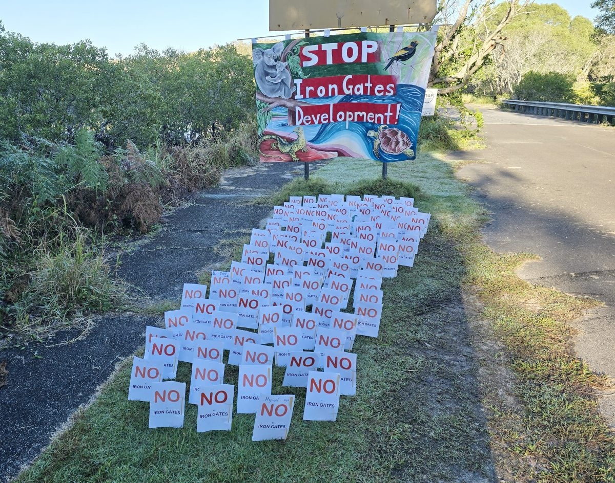 Iron Gates L&EC hearing gets full blast of RAAF aircraft flyover as ...