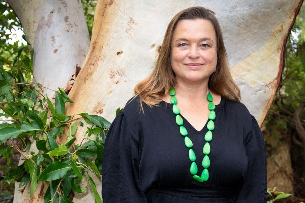 Byron mayor puts hand up to run for state against Mandy Nolan – The Echo