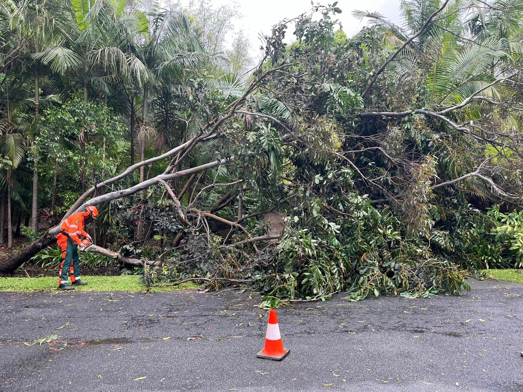 Prepare for heavy rainfall: SES – The Echo