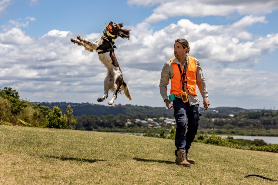 Fire ant protection underway for Kyogle – The Echo