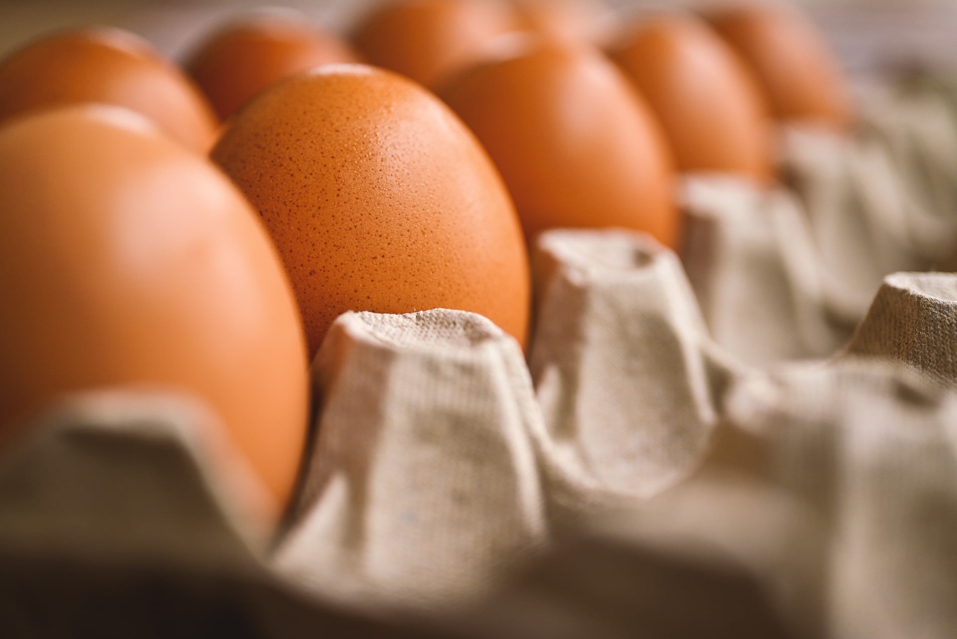 Where have all the eggs gone? – The Echo