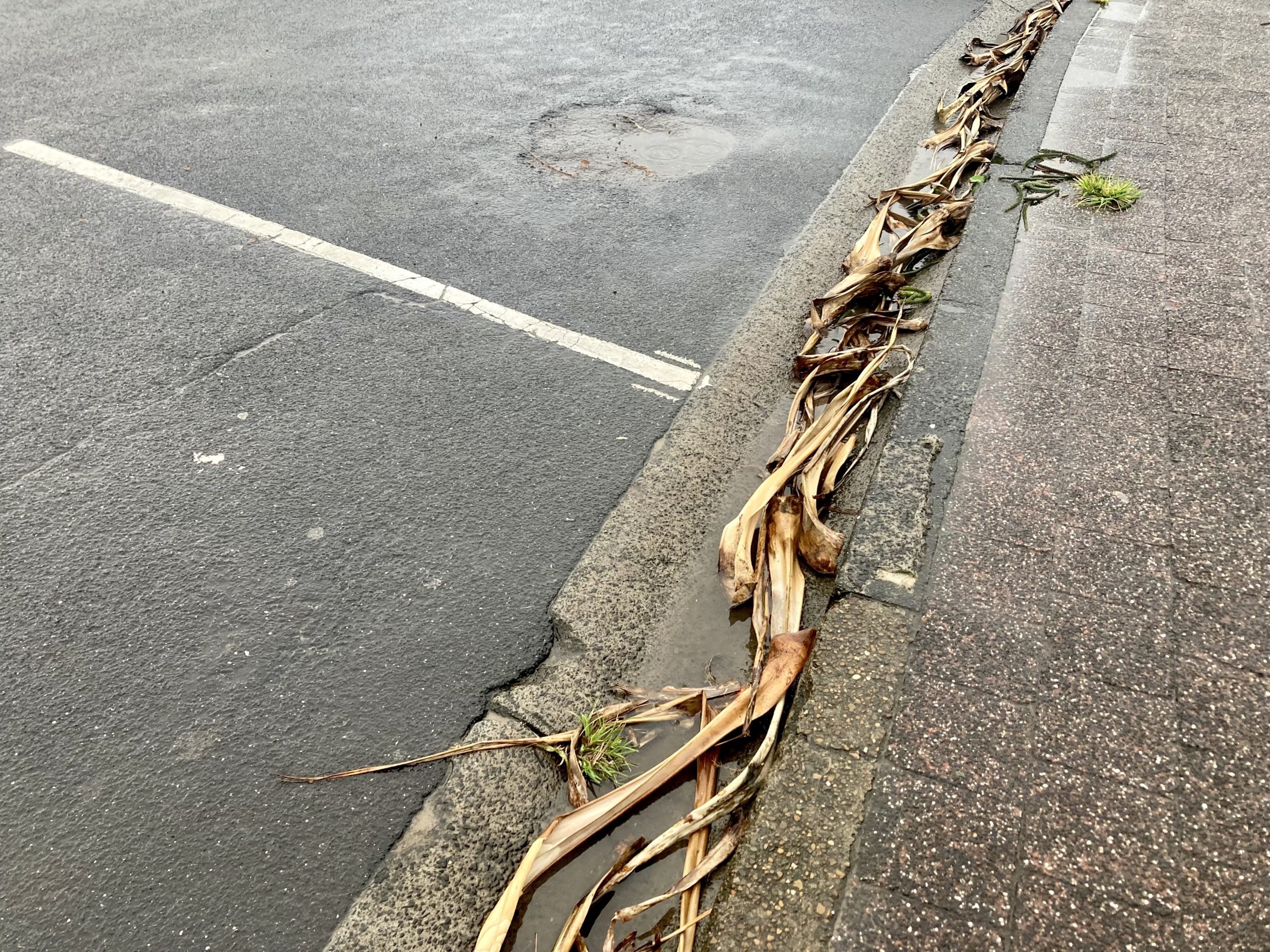 Tropical Cyclone Alfred in pictures – The Echo
