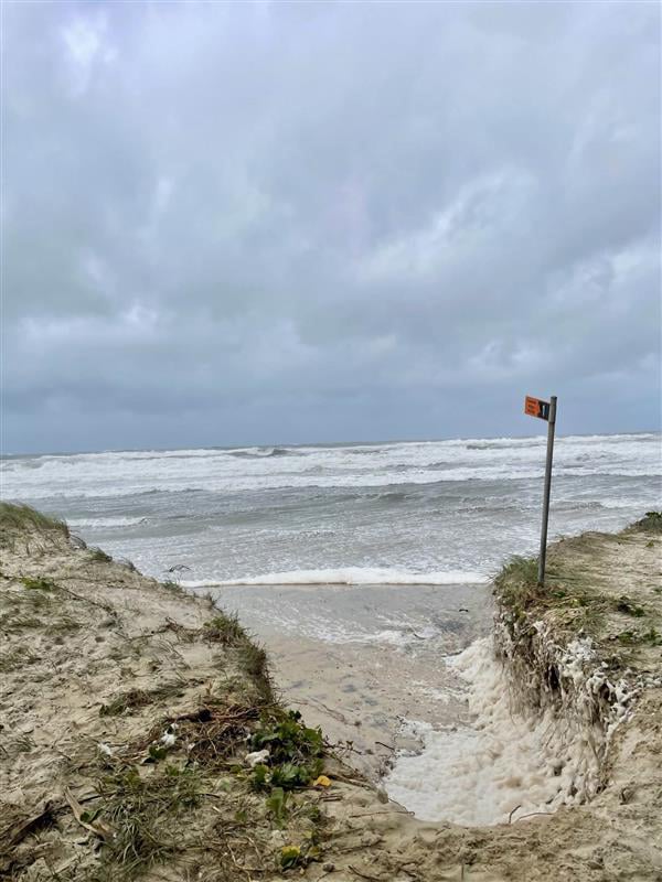 Tropical Cyclone Alfred in pictures – The Echo