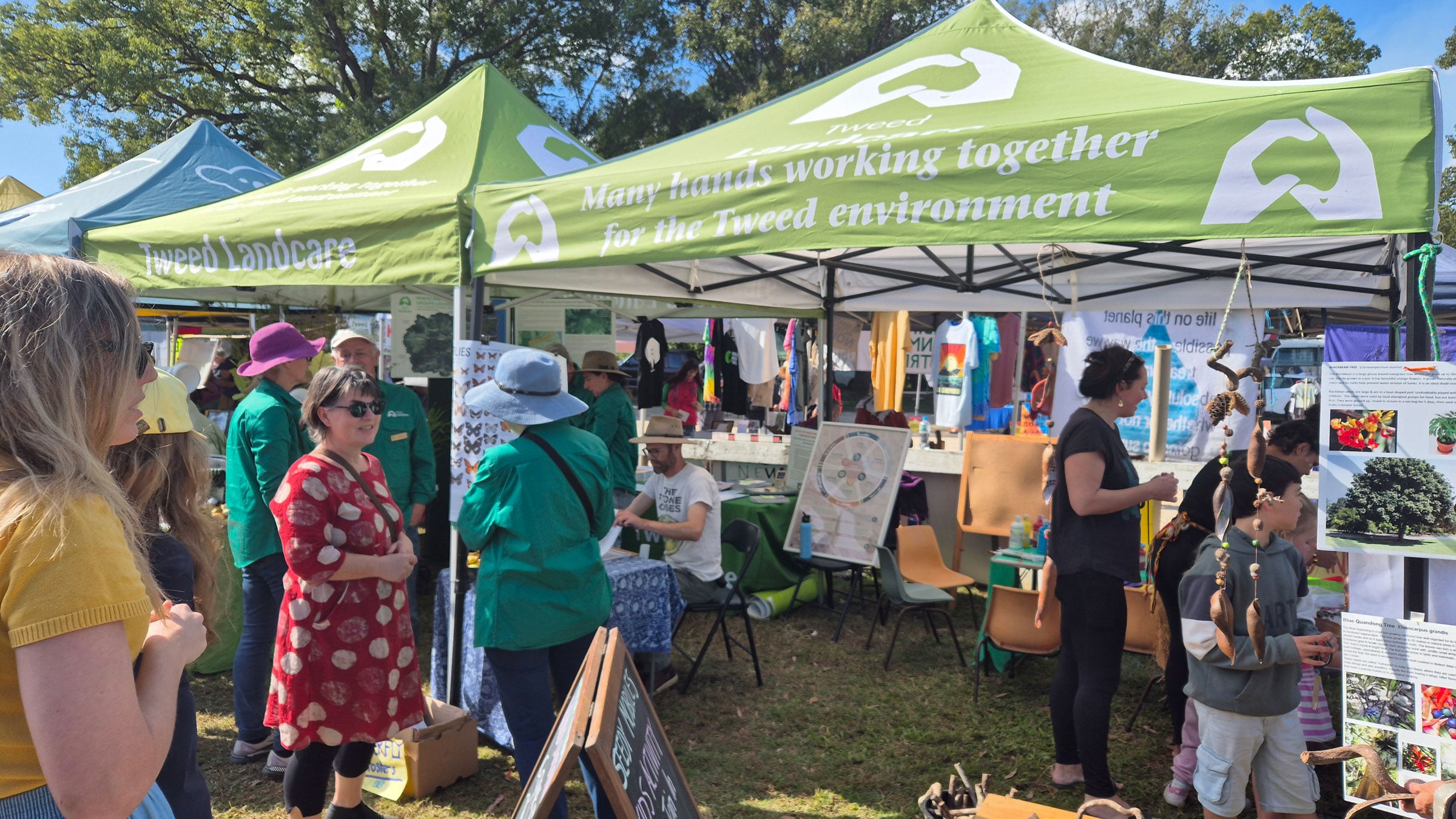 Murwillumbah's World Environment Day Festival success – The Echo