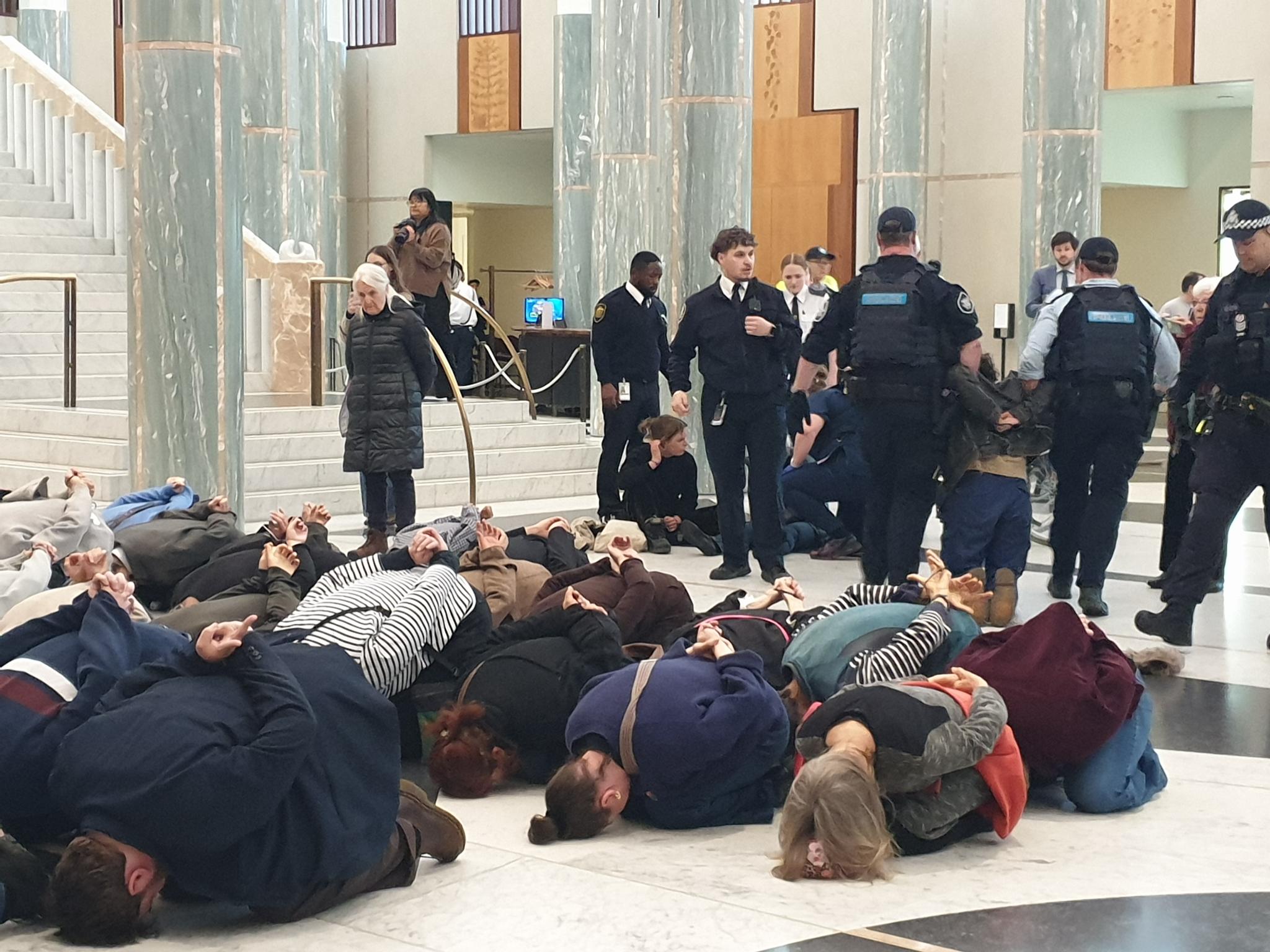 Protestors recreate Israel prison scene at Parliament House – The Echo